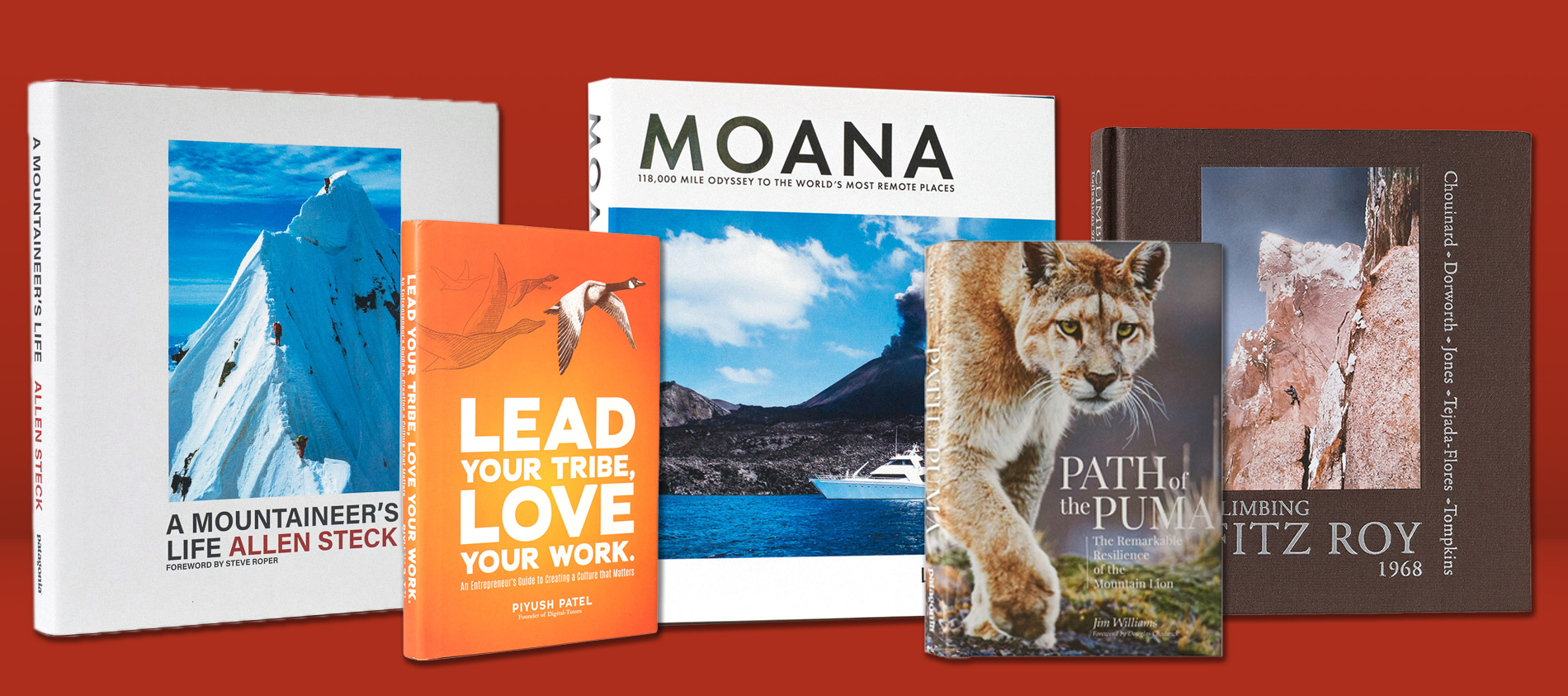 Nonfiction Cover Design: What You Need to Know - Monkey C Media ...